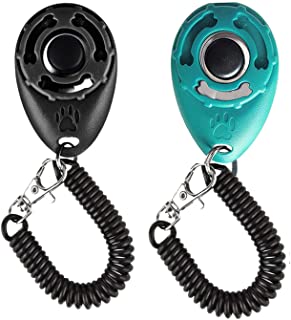 5 Great Dog Training Tools For Walking – Doggy Royalty