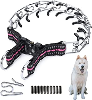 8 Of The Best Professional Dog Training Tools - Doggy Royalty