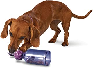 8 Best Dog Toys Hide Treats – Doggy Royalty